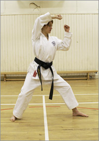Kanzenki Shotokan Karate Kata - Heian Nidan